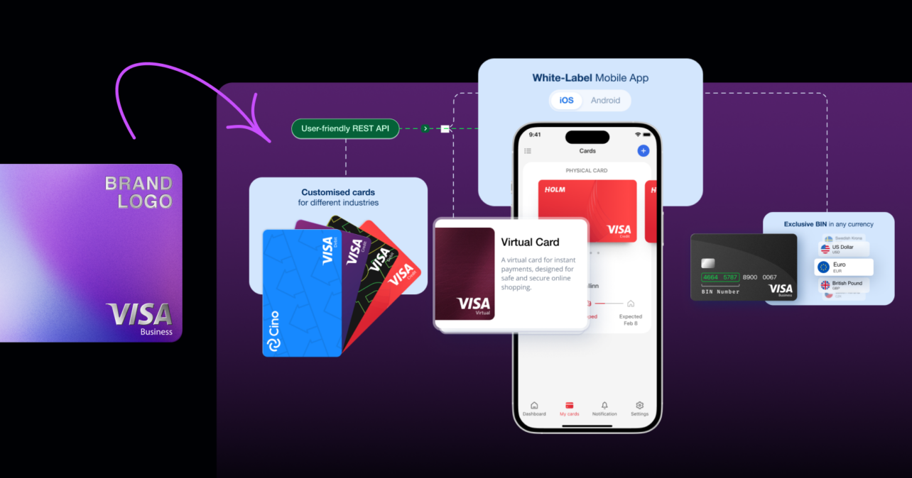 Credit Card Network vs Issuer: What Is the Difference? | Wallester