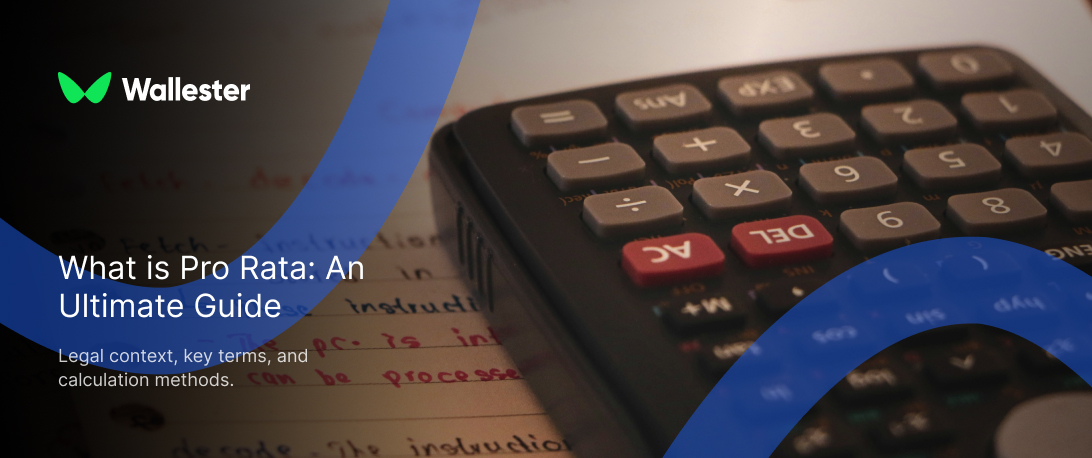 What is Pro Rata: An Ultimate Guide | Wallester